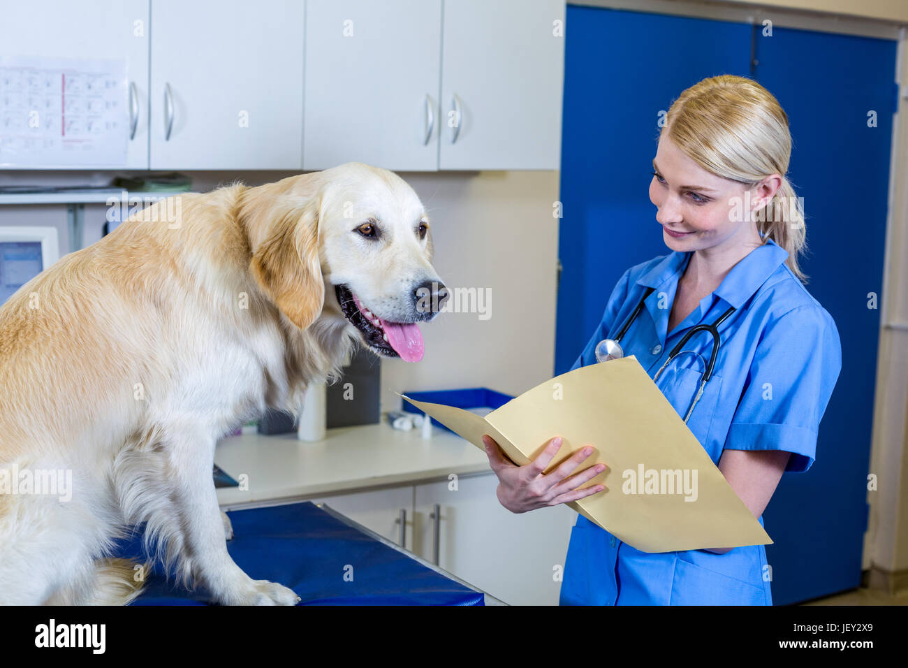 A smiling vet looking a dog Stock Photo - Alamy