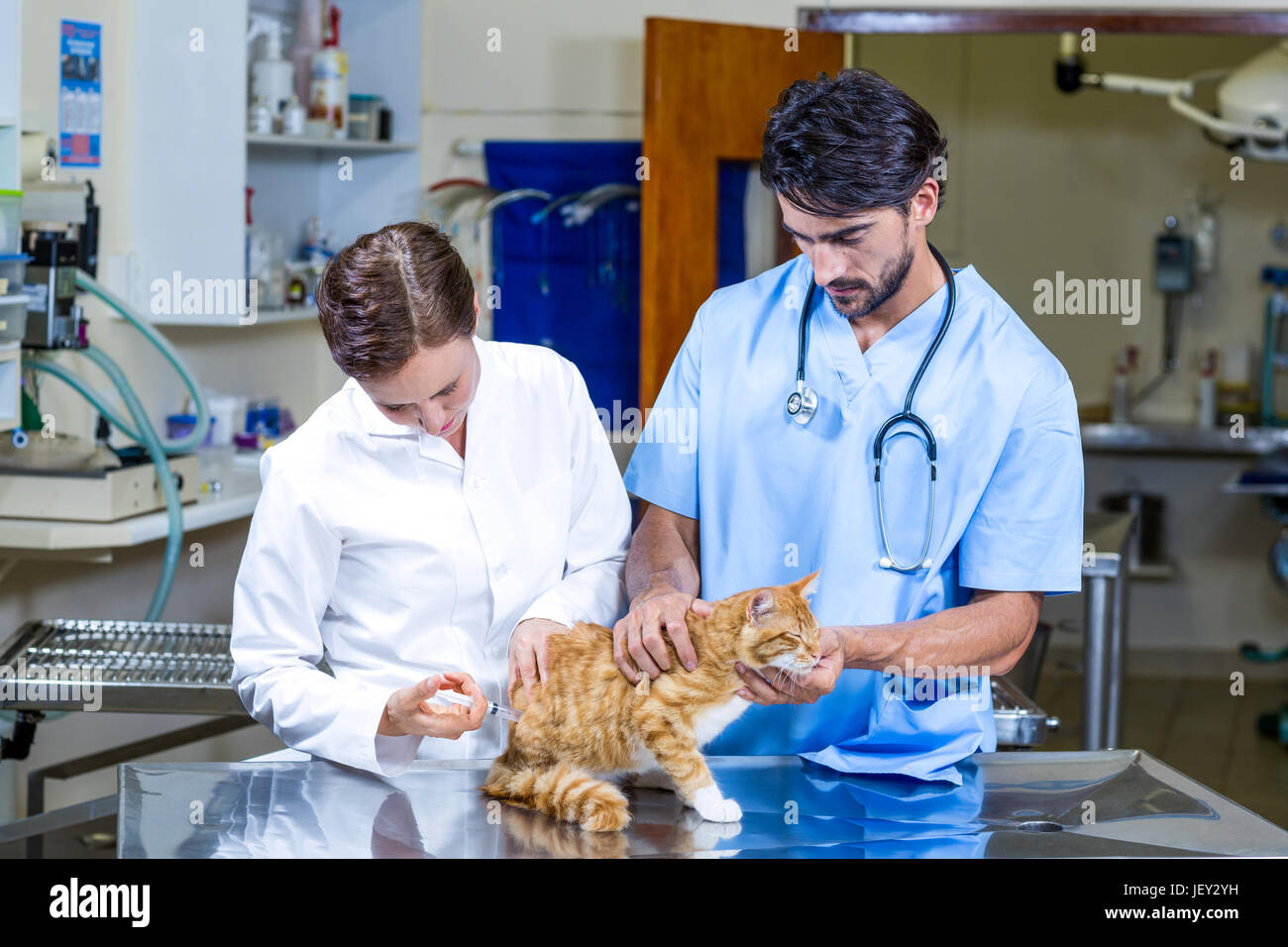 Vet treating cat hi-res stock photography and images - Alamy
