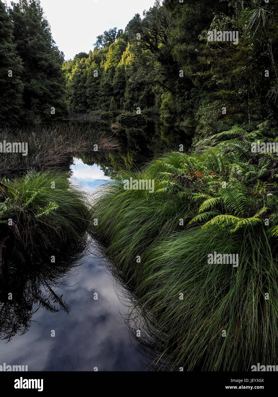 Ohinetonga Lagoon, Owhango, Ruapehu District, New Zealand Stock Photo ...