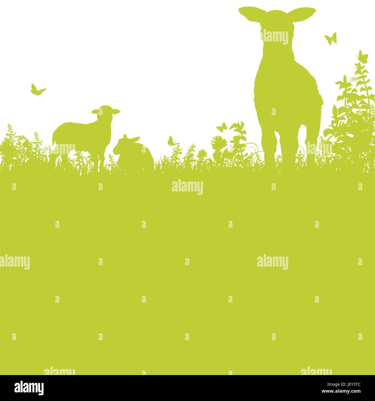 Sheep in spring Stock Vector Images - Alamy