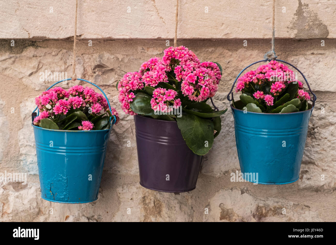 Flower bucket decorations in the old town, Dubrovnik, Croatia, Europe ...