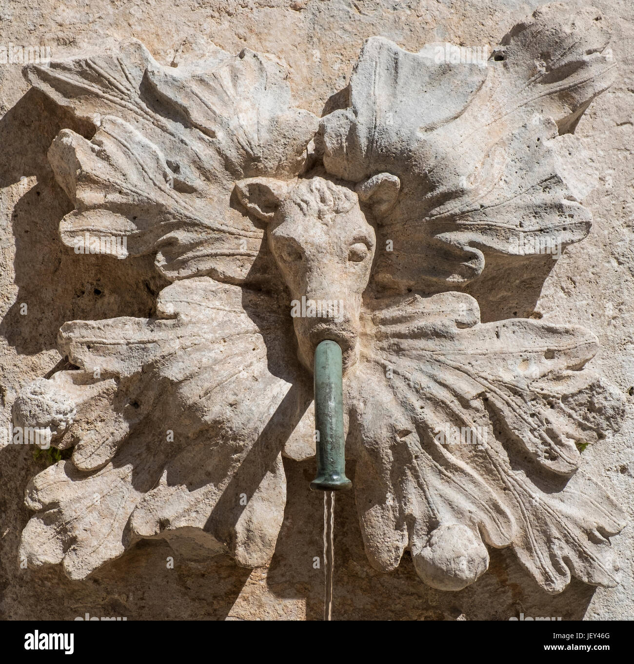 One of the maskerons on Big Onofrio's Fountains, The Old City ...