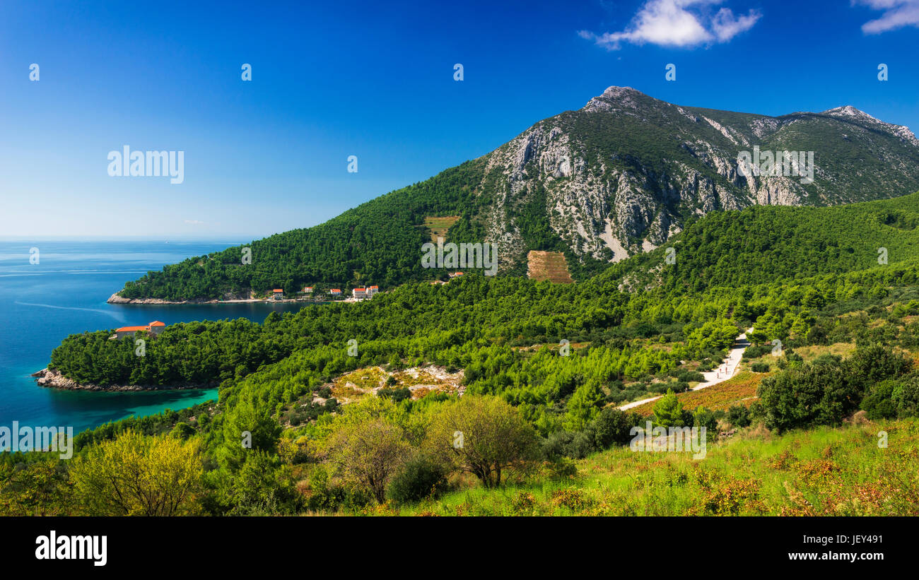 The village of Trstenik on the Peljesac Peninsula above the Adriatic ...