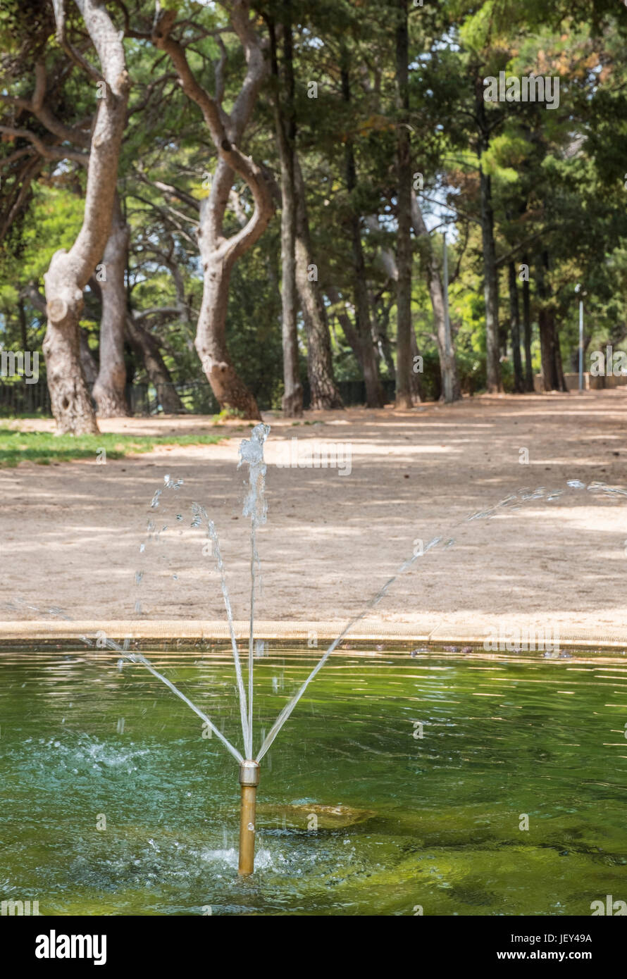 Gradac Park, Dubrovnik, Croatia, Europe Stock Photo - Alamy