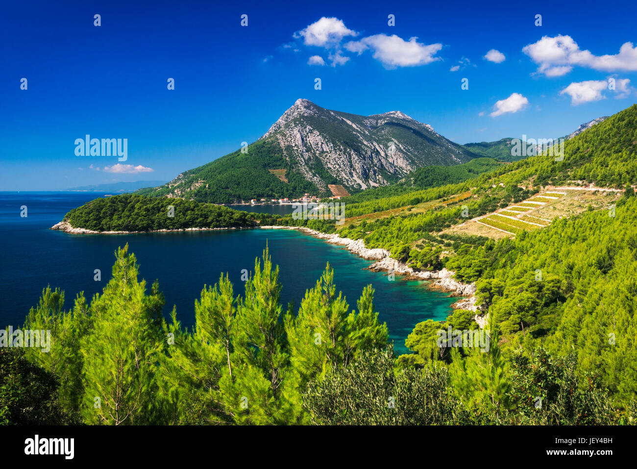 The village of Trstenik on the Peljesac Peninsula above the Adriatic ...