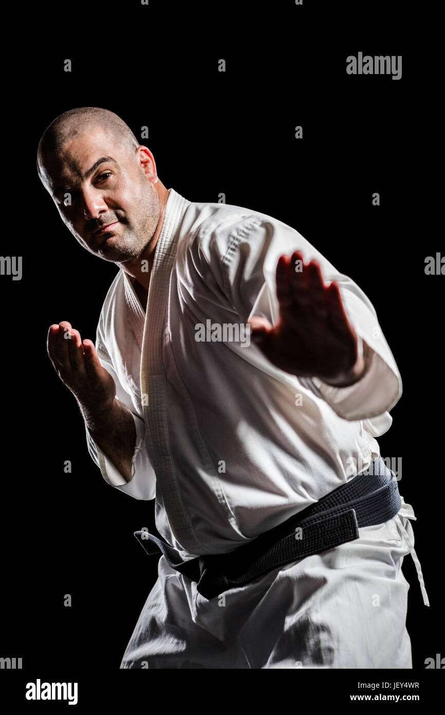 Fighter performing karate stance Stock Photo - Alamy