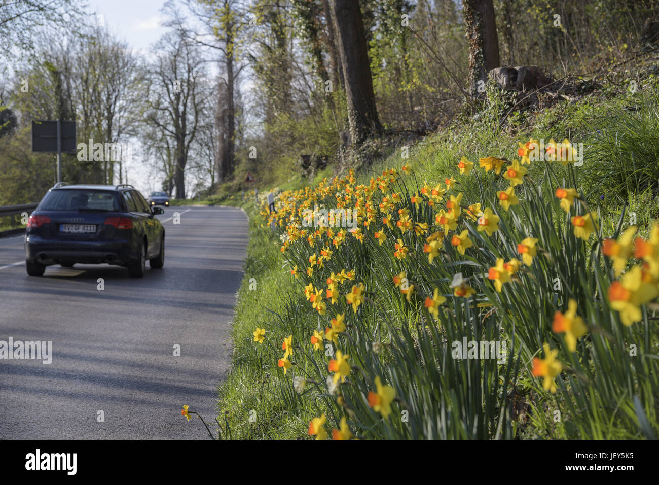Car on road with flowers Stock Photo - Alamy