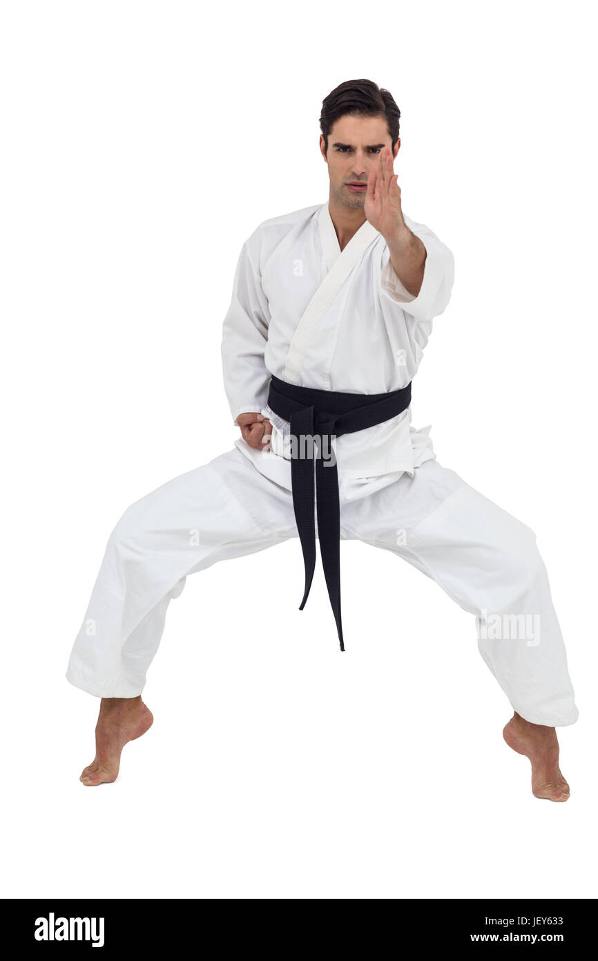 Portrait of fighter performing karate stance Stock Photo - Alamy