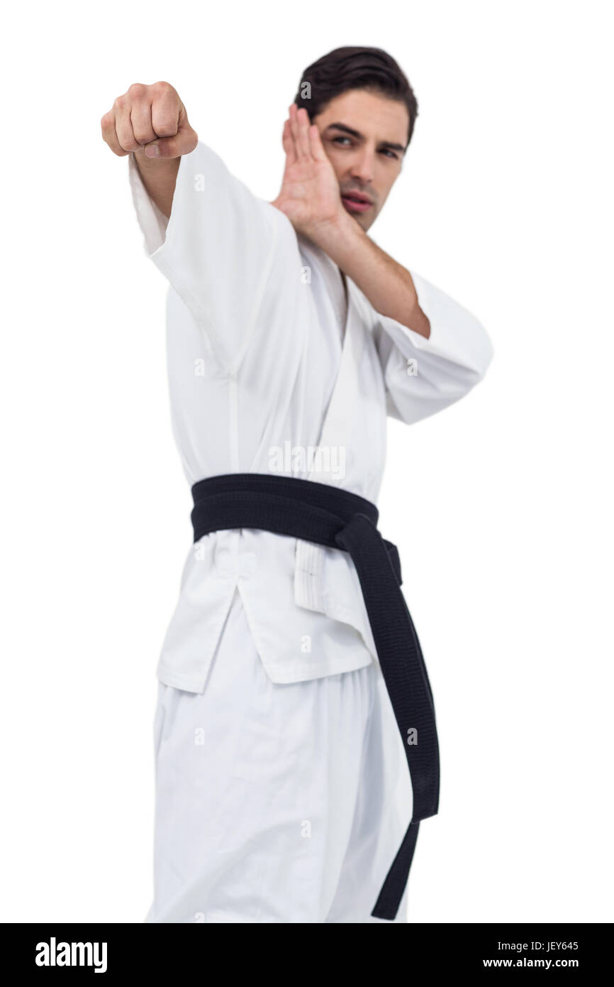 Fighter performing karate stance Stock Photo - Alamy