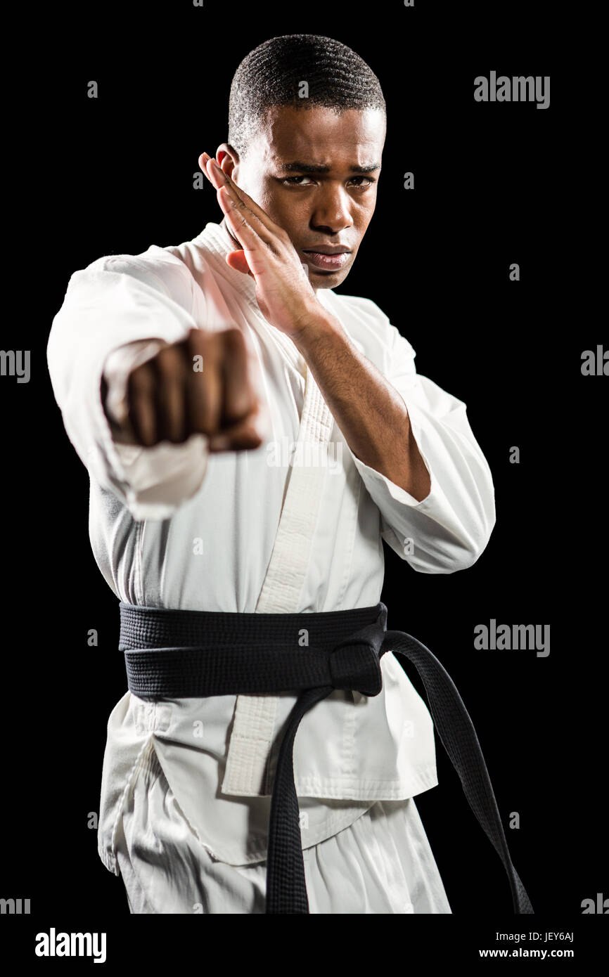 Fighter performing karate stance Stock Photo - Alamy