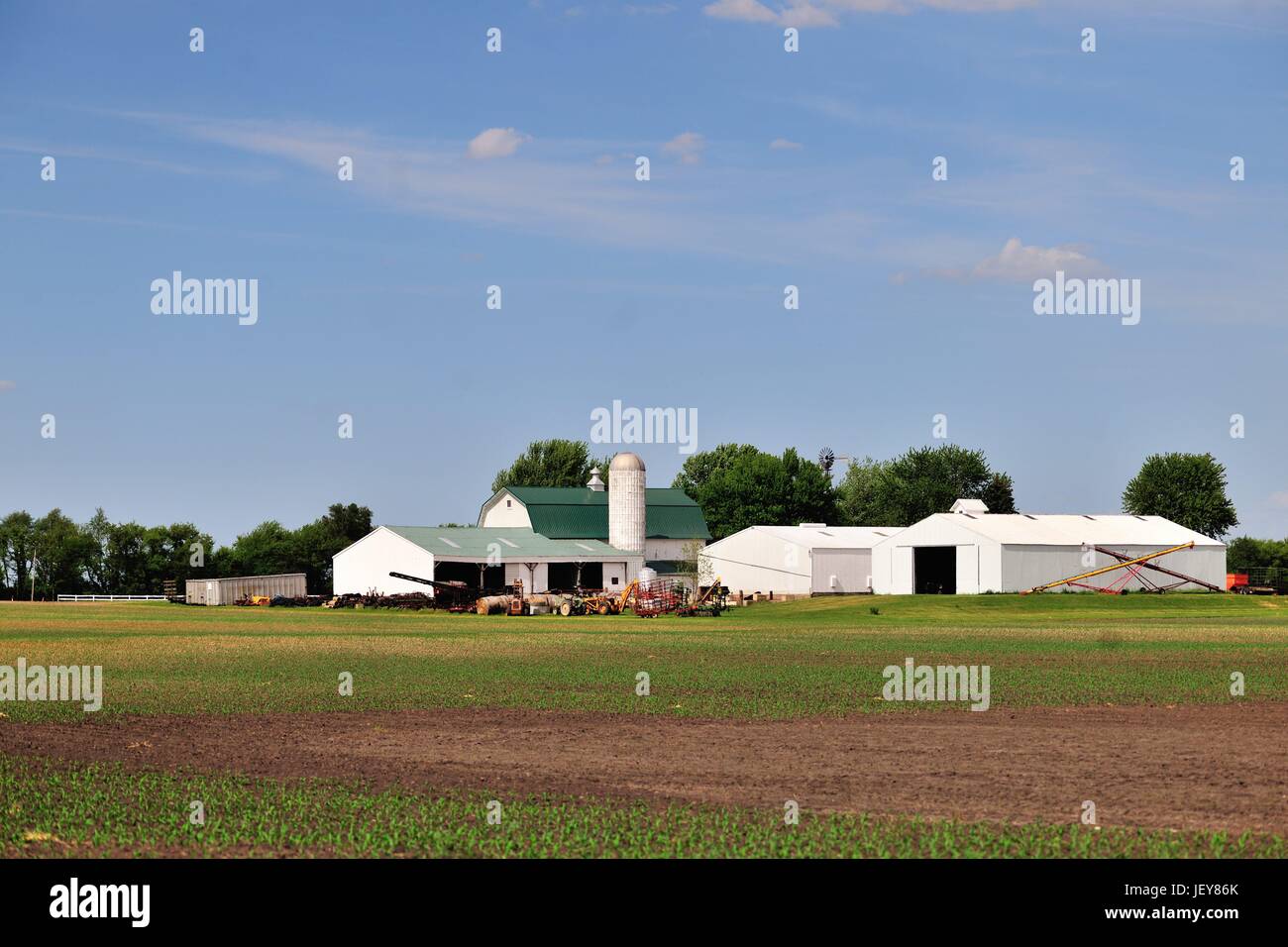 An emerging corn crop fronts a large agricultural spread in the middle ...