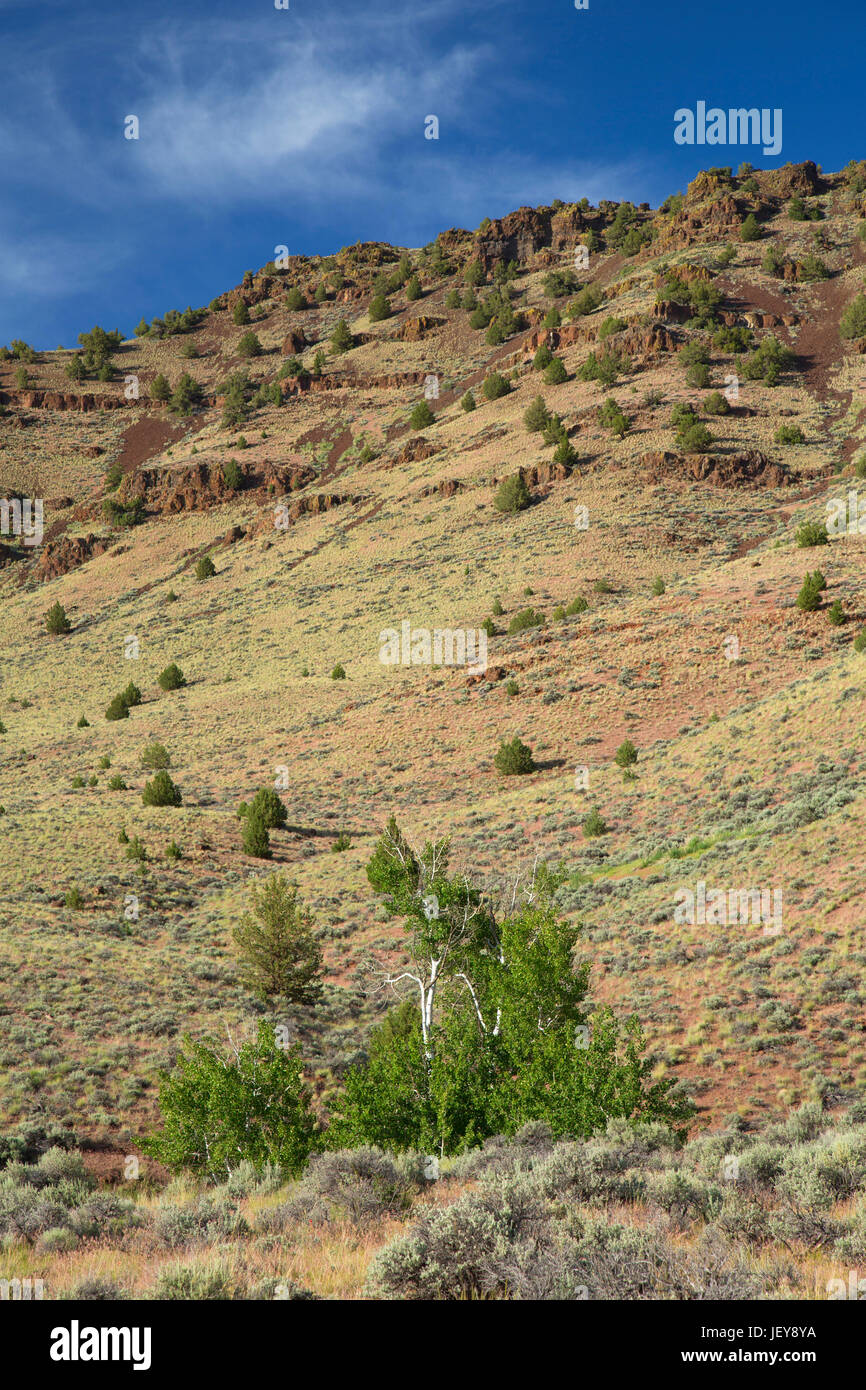 Hart Mountain front, Hart Mountain National Antelope Refuge, Oregon ...
