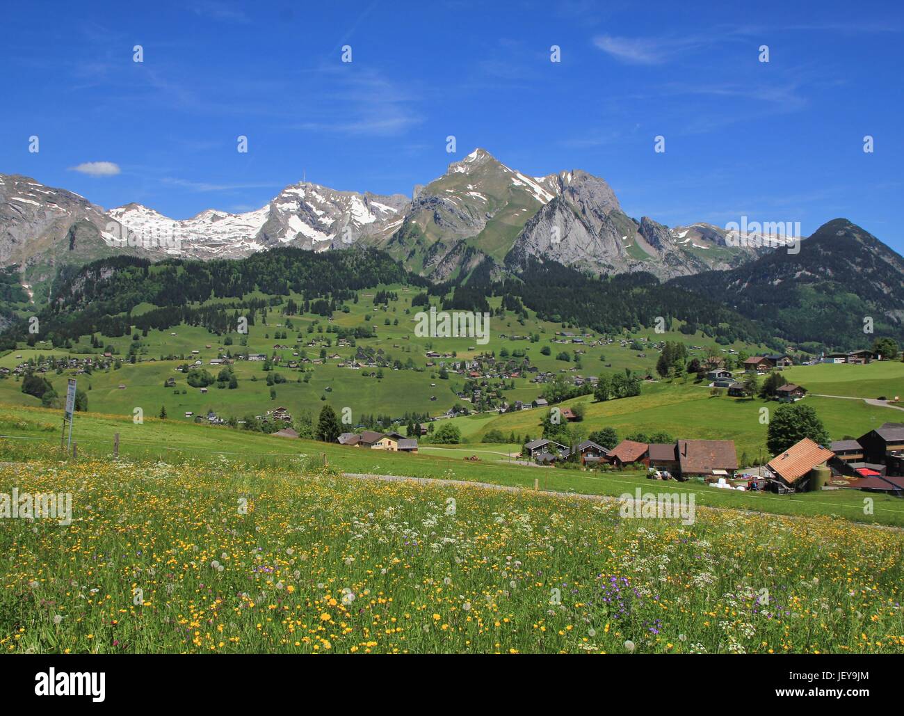 Toggenburg hi-res stock photography and images - Alamy