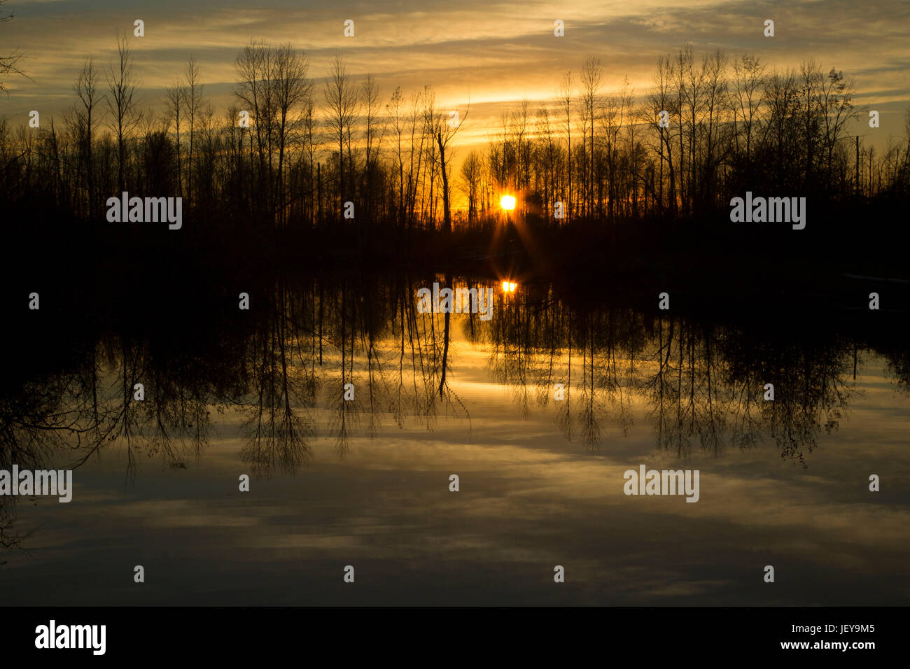 St louis ponds hi-res stock photography and images - Alamy