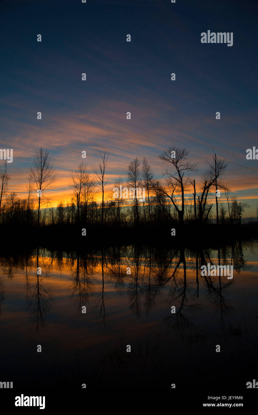 St louis ponds hi-res stock photography and images - Alamy