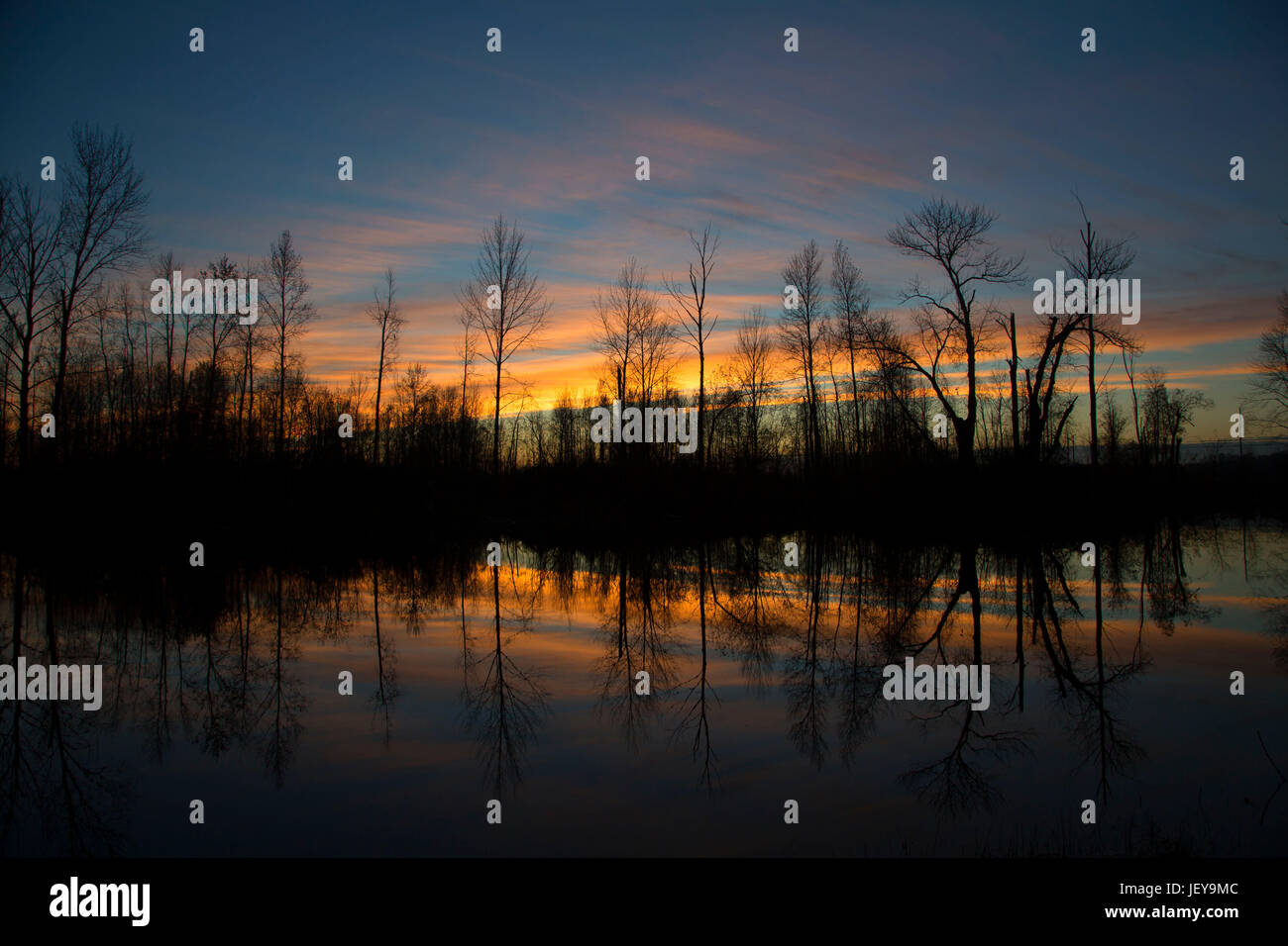 St louis ponds hi-res stock photography and images - Alamy