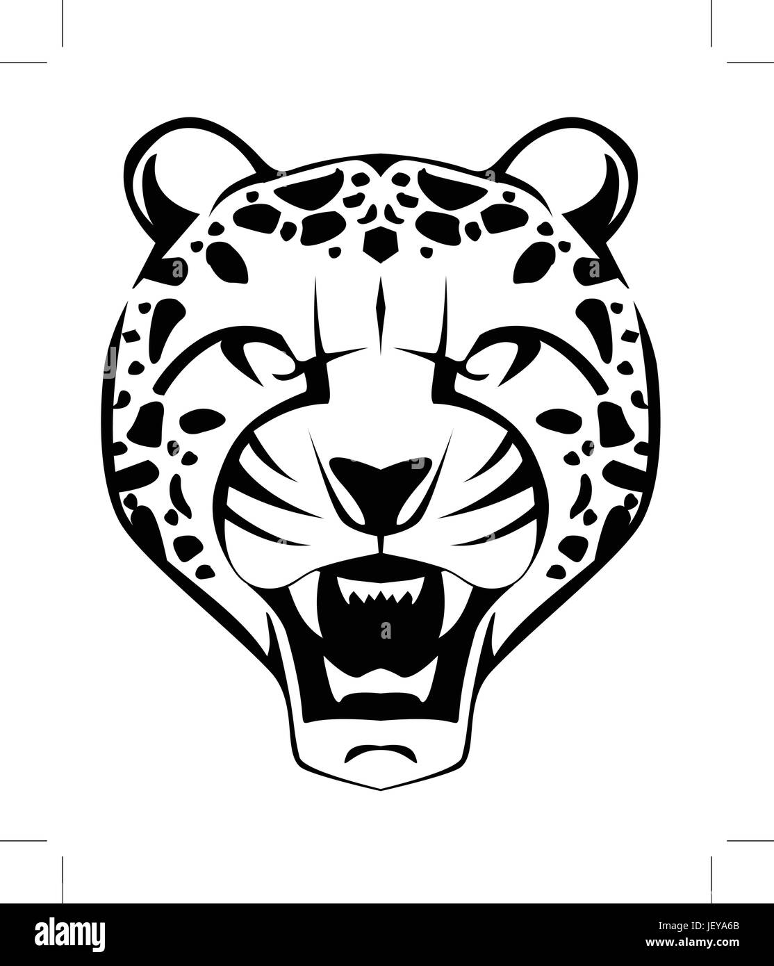 Muzzle tiger isolated on hi-res stock photography and images - Alamy