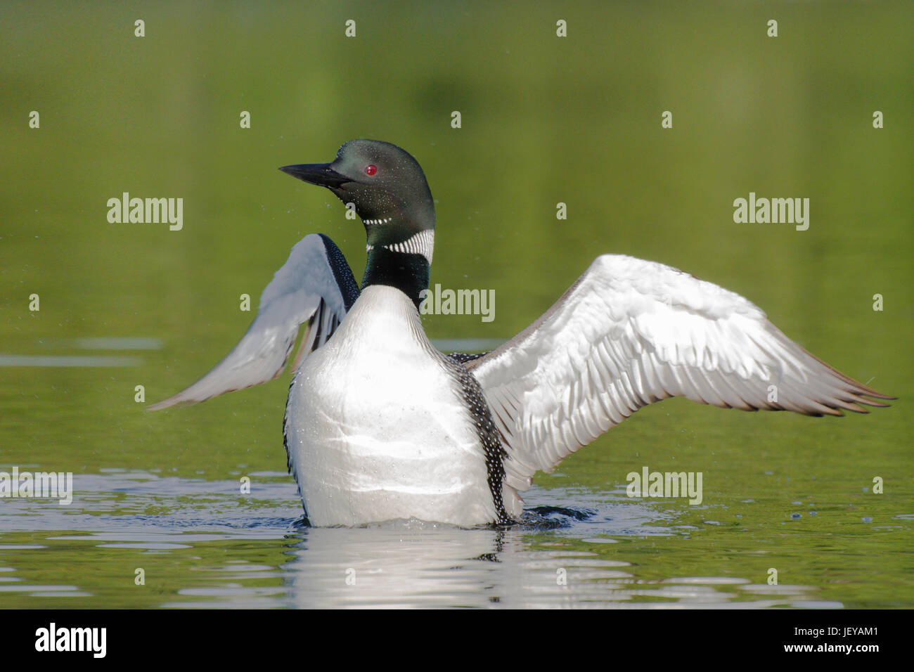 Rise of water hi-res stock photography and images - Alamy