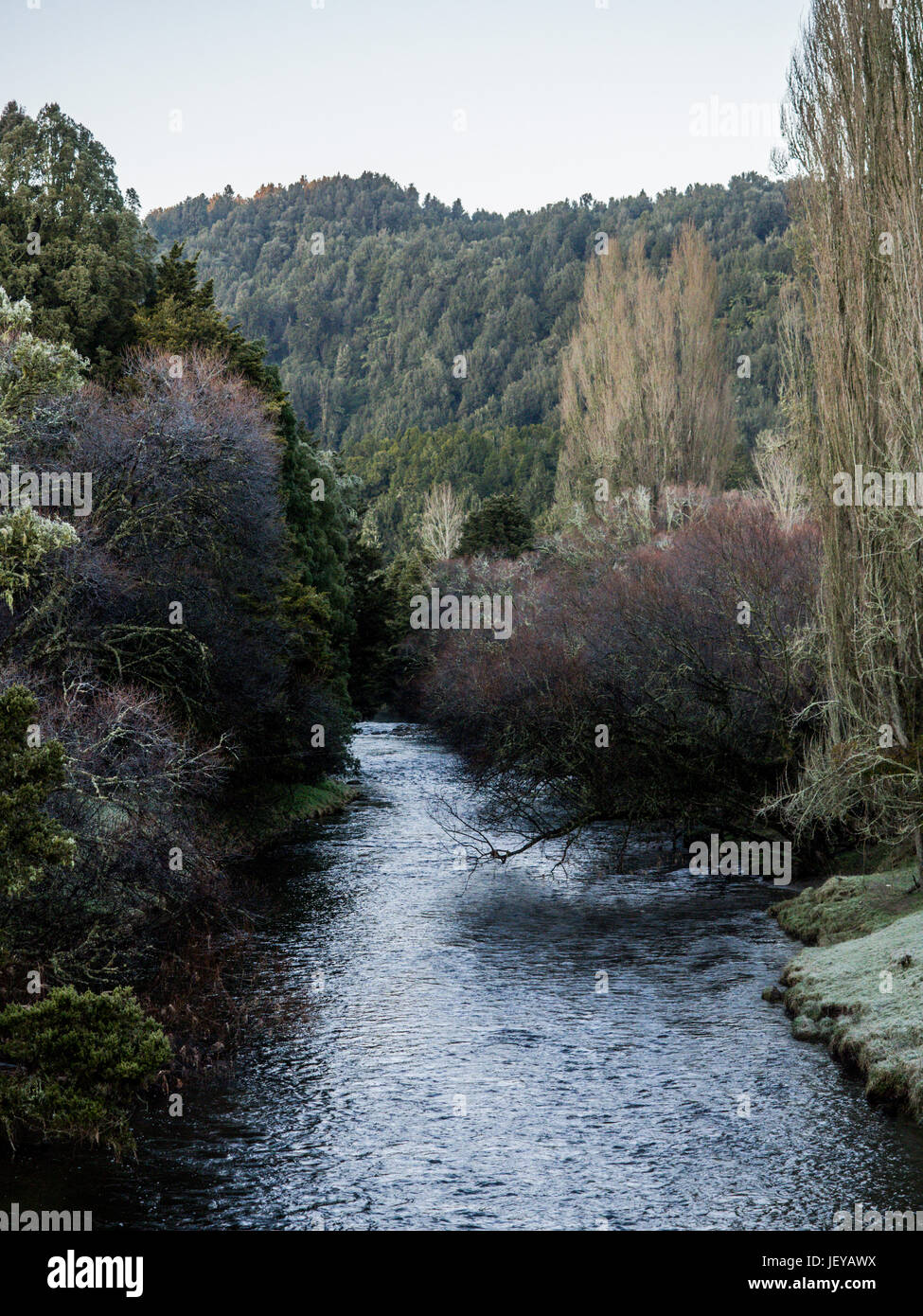 Whanganu River, Hohotaka Road, Ngapuke, Taumarunui, New Zealand Stock ...