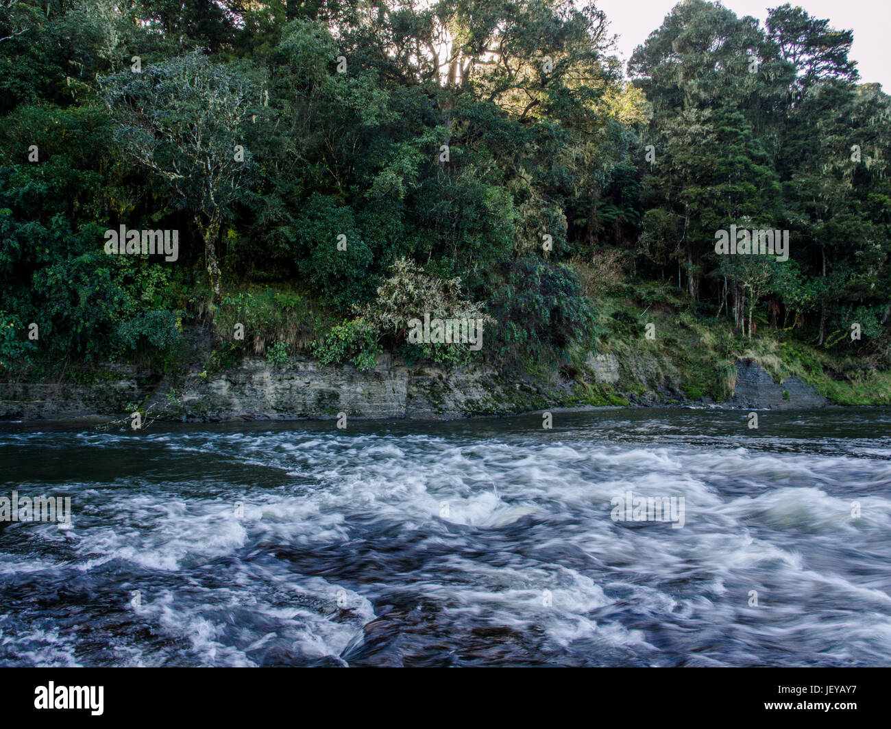 Confluence of Whanganui and Whakapapa, Kakahi, Ruapehu District, North ...