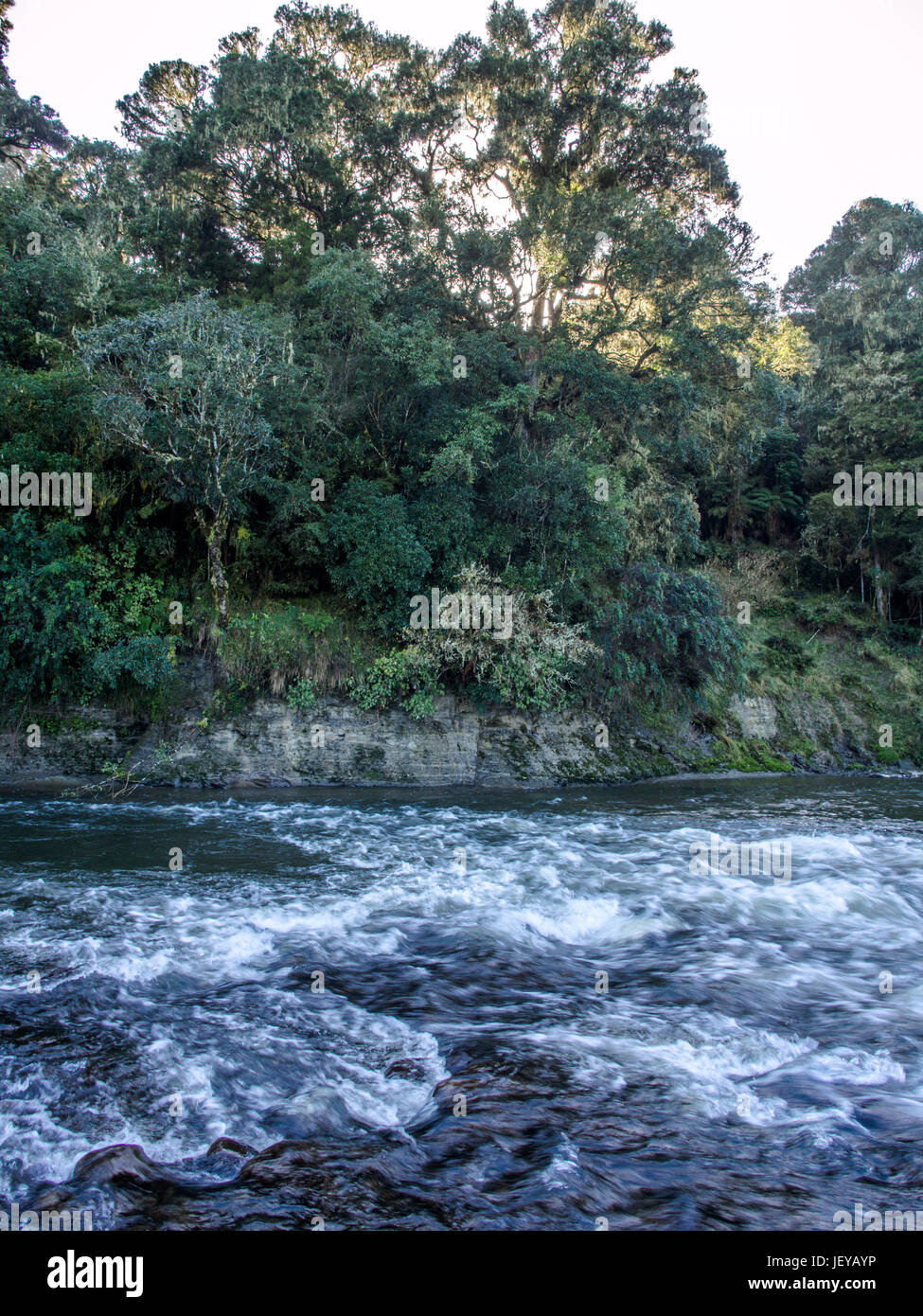 Confluence of Whanganui and Whakapapa, Kakahi, Ruapehu District, North ...