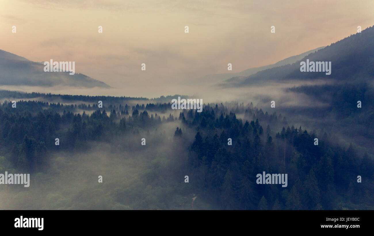 Aerial view mist hovering across a valley Stock Photo - Alamy