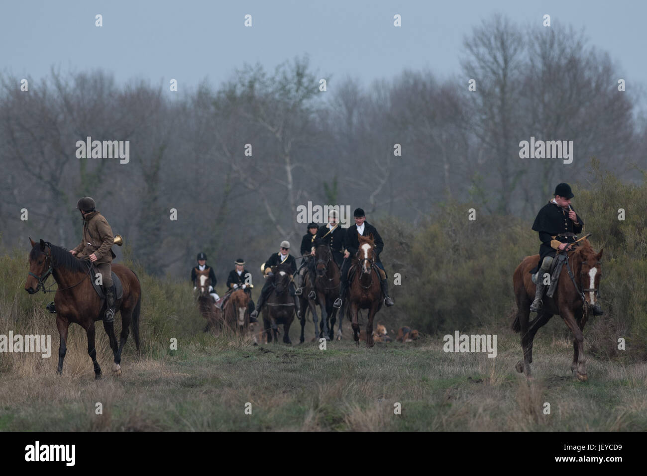 Hounds chasing hi-res stock photography and images - Alamy