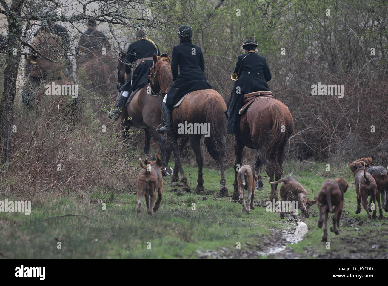 Hunting chase hi-res stock photography and images - Alamy