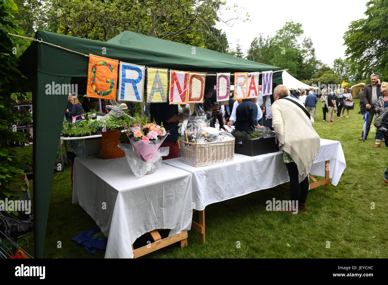 Chris Coleman Family Stock Photos & Chris Coleman Family Stock Images ...