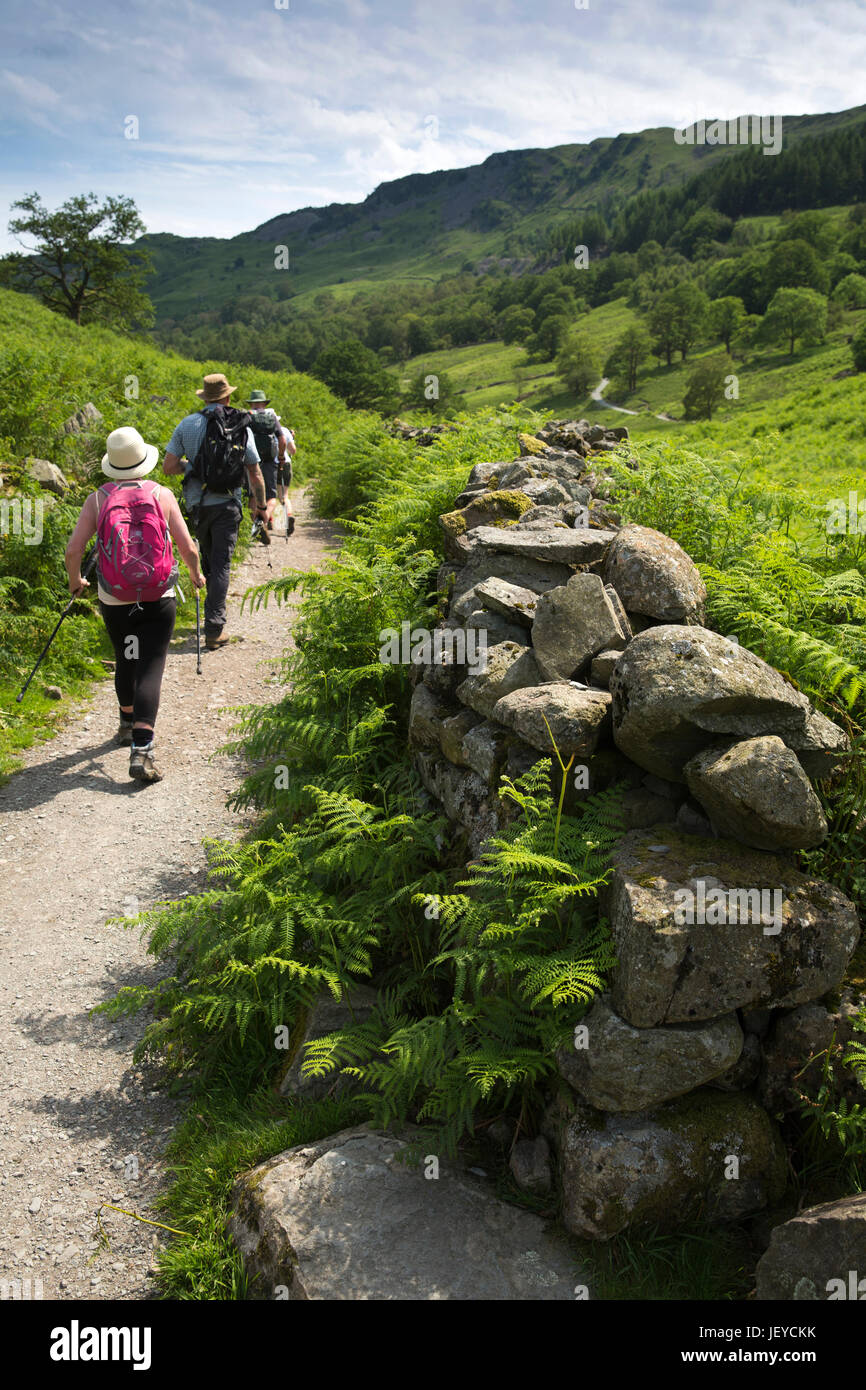 UK, Cumbria, Great Langdale, walkers on Cumbria Way path from Oak Howe ...
