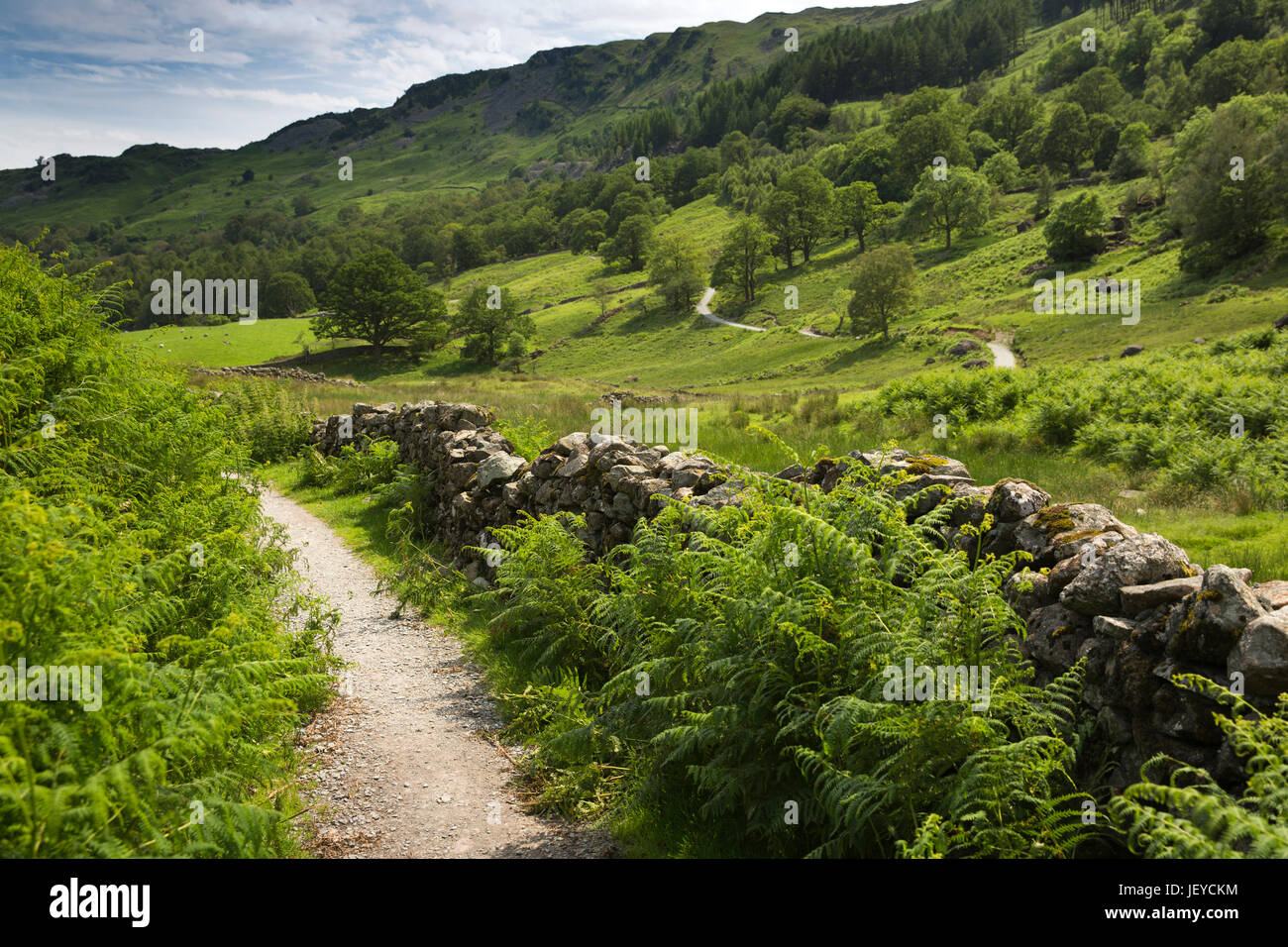 UK, Cumbria, Great Langdale, Cumbria Way path from Oak Howe to Chapel ...