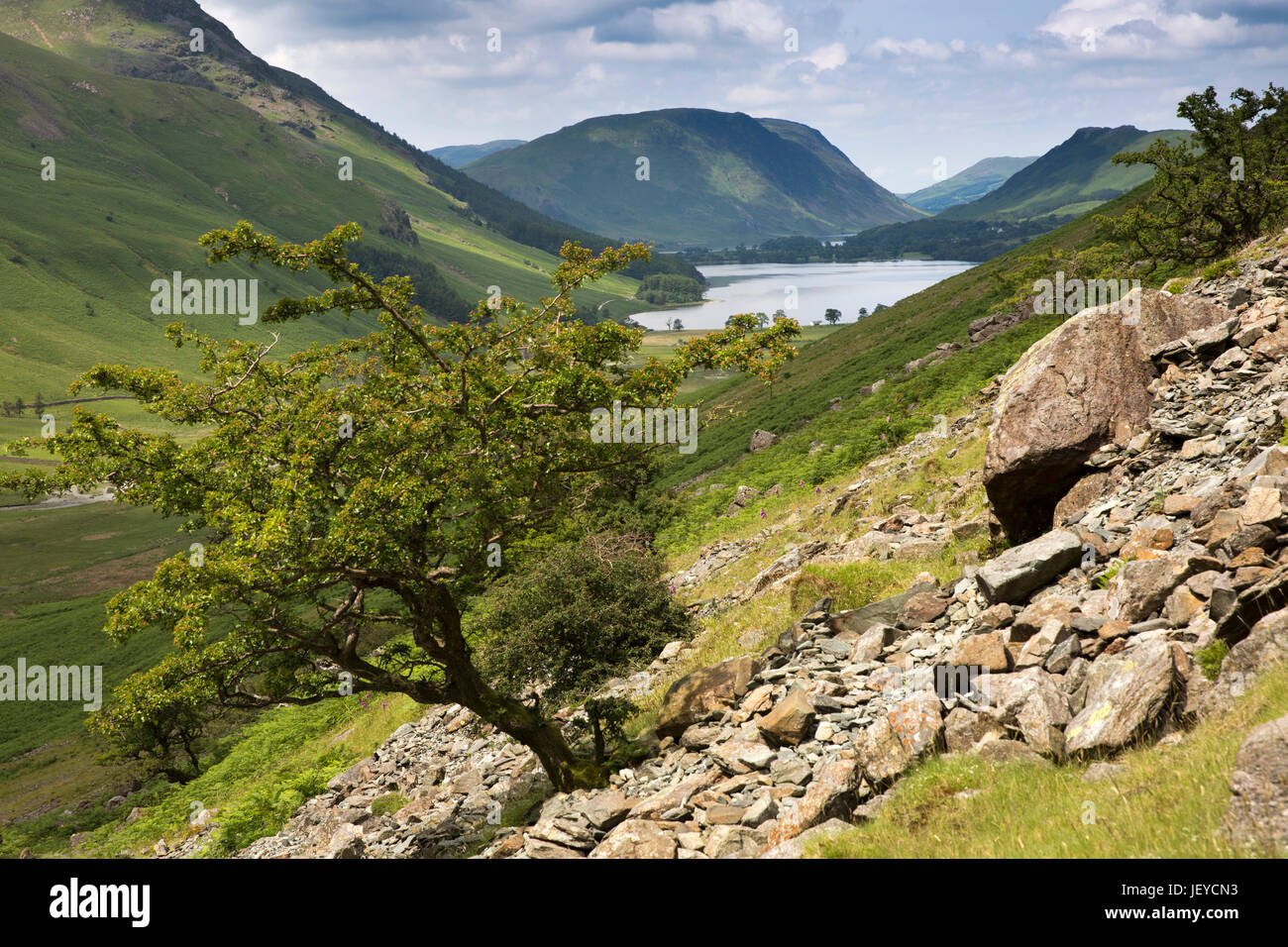 UK, Cumbria, Buttermere and High Stile, elevated view from slopes of ...