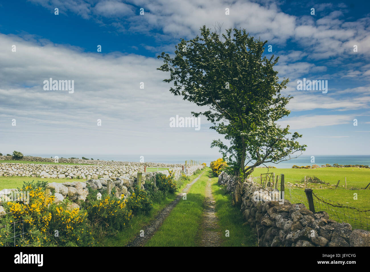 a beautiful irish countryside with the bright blue sky Stock Photo - Alamy