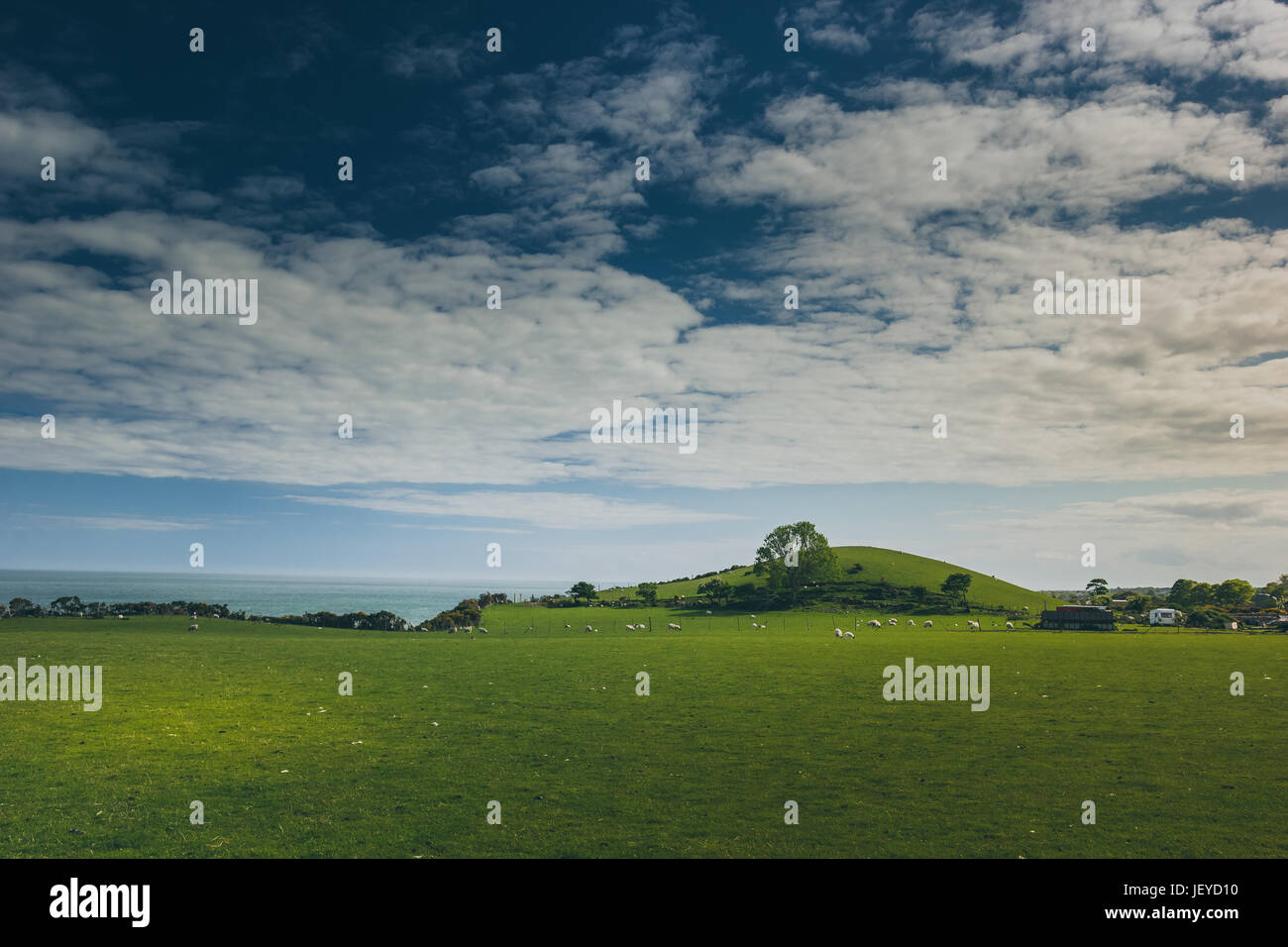 Greenery grassland hi-res stock photography and images - Alamy