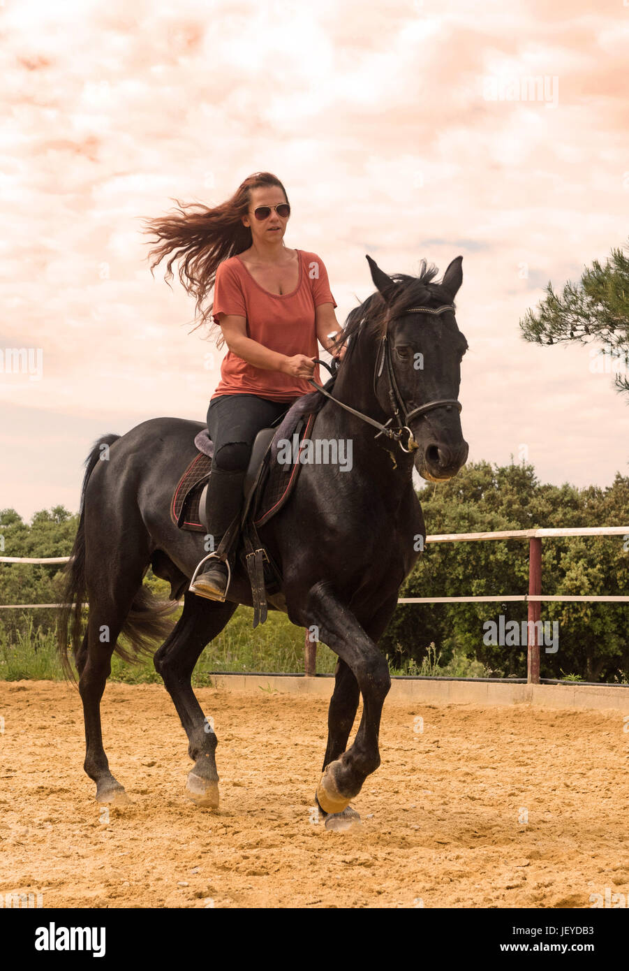 Iberian horse dressage hi-res stock photography and images - Alamy