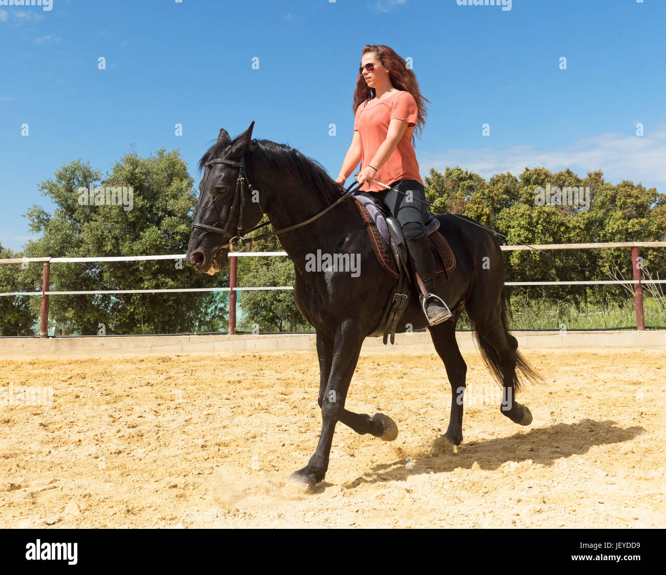 Iberian horse dressage hi-res stock photography and images - Alamy