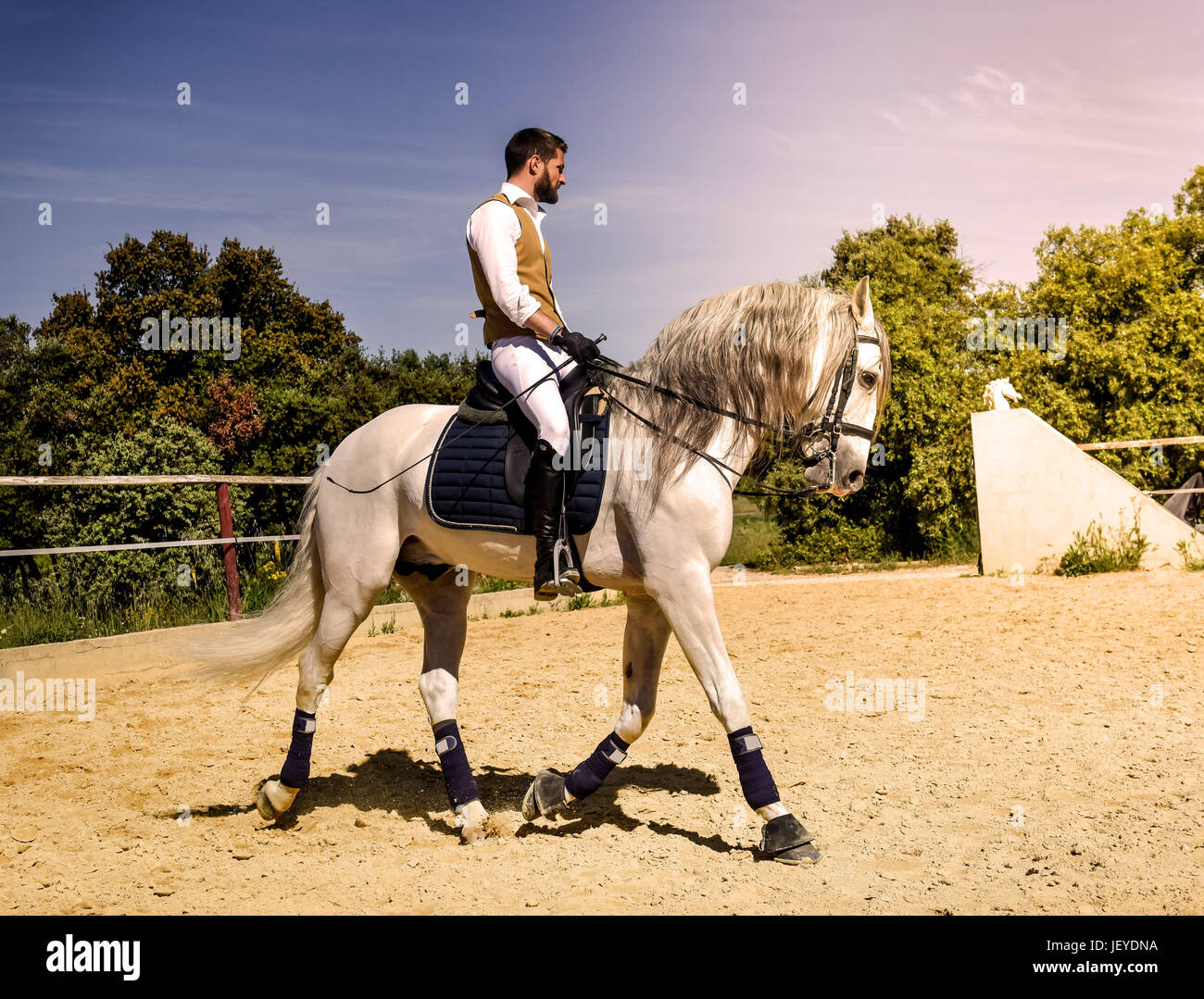 riding man and his stallion in a training of dressage Stock Photo - Alamy