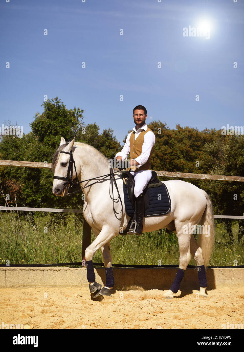 riding man and his stallion in a training of dressage Stock Photo - Alamy