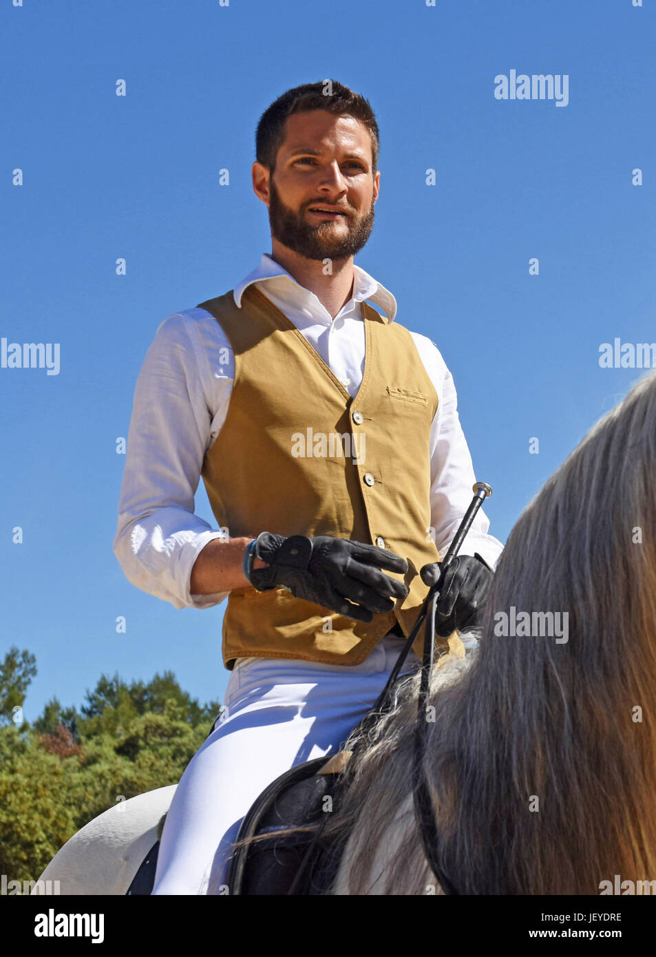 riding man and his stallion in a training of dressage Stock Photo - Alamy