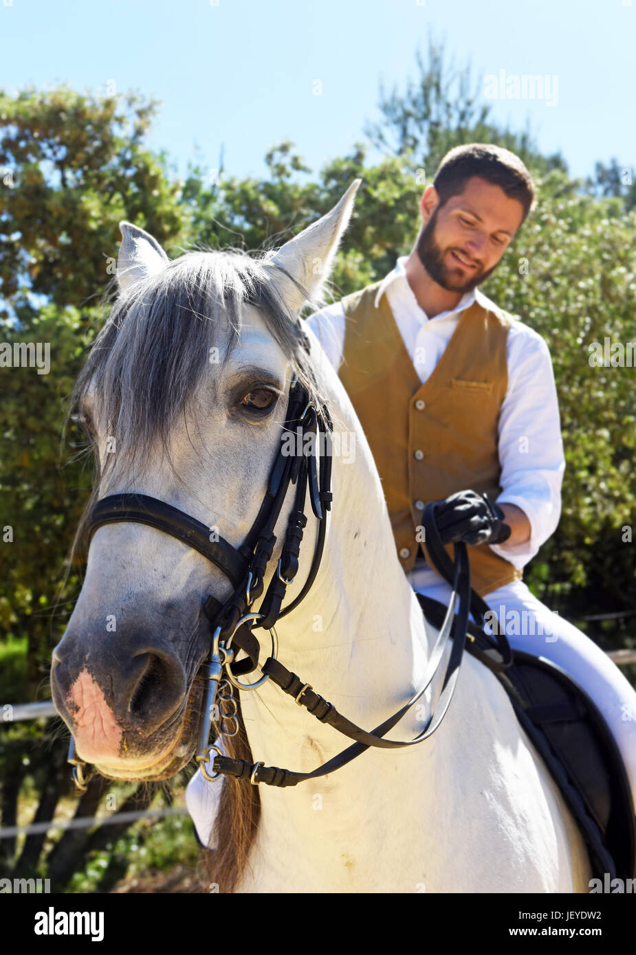 riding man and his stallion in a training of dressage Stock Photo - Alamy