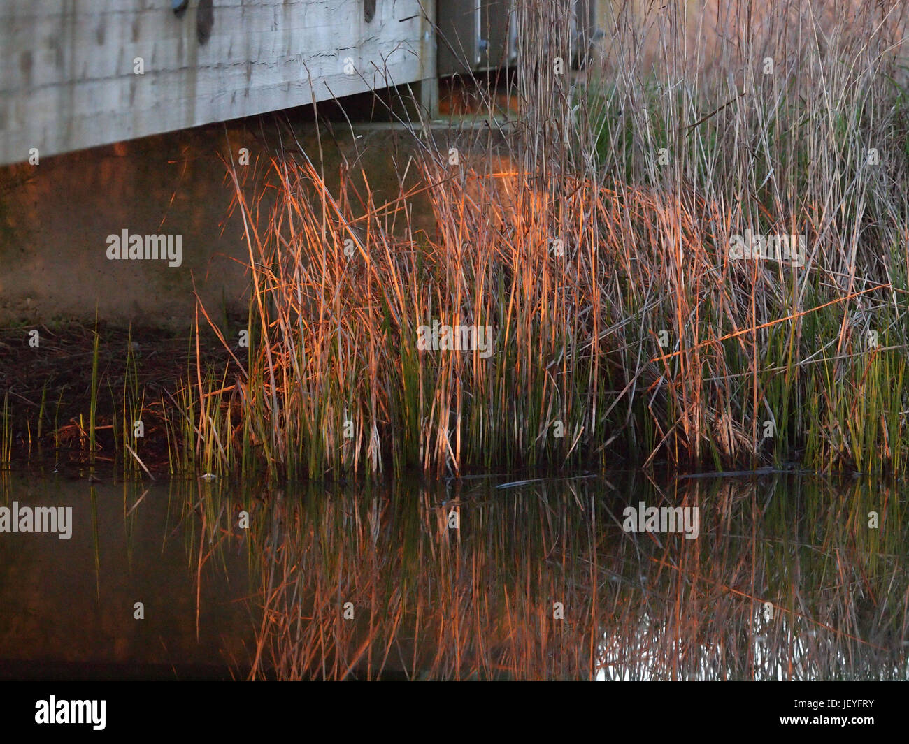 Wooden bridge under water hi-res stock photography and images - Alamy