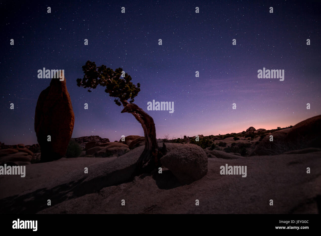 The Stars over Joshua Tree National Park in California Stock Photo - Alamy
