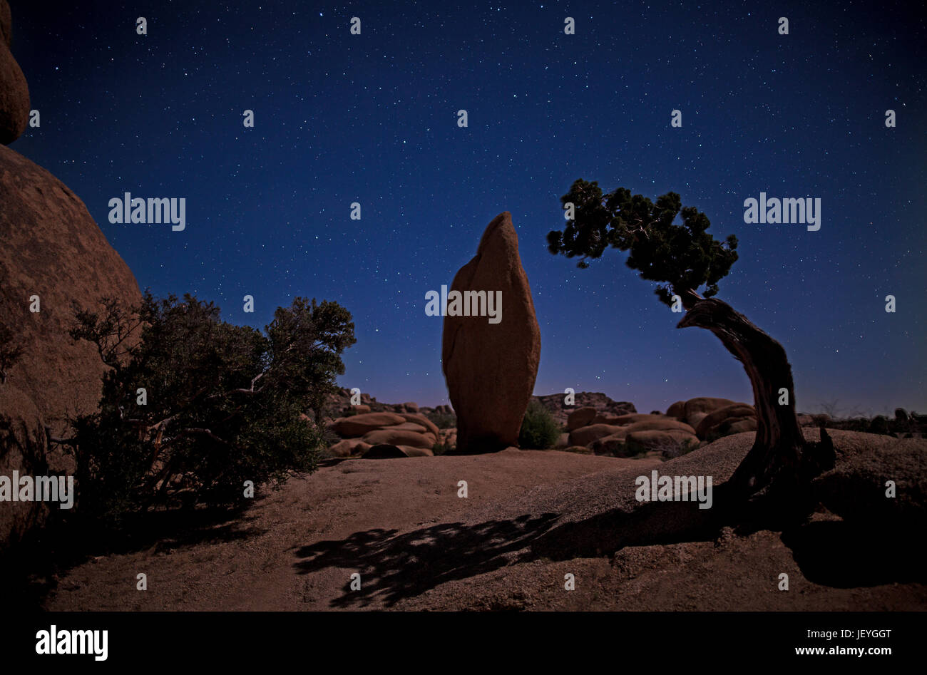 The Stars over Joshua Tree National Park in California Stock Photo - Alamy