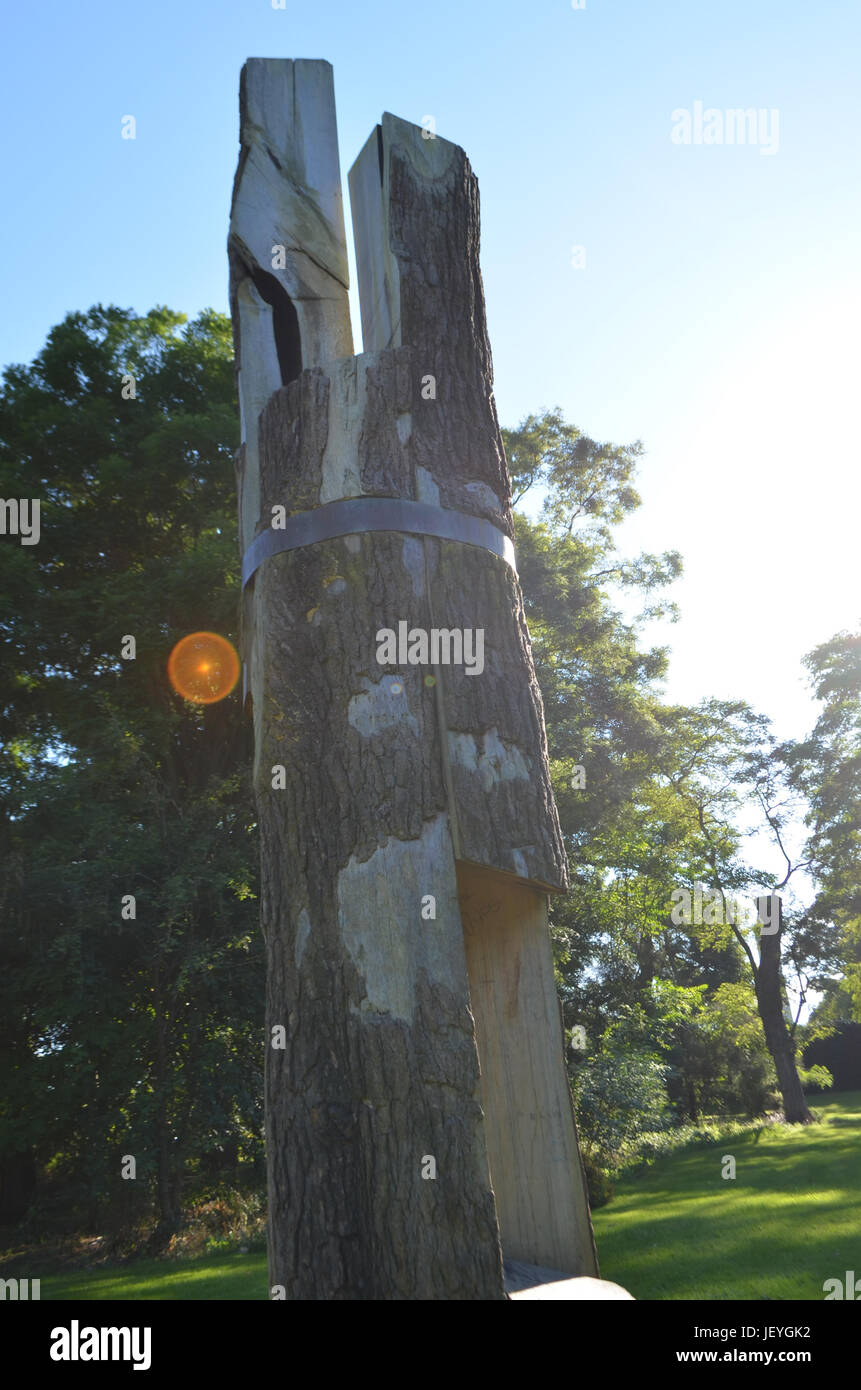 Wooden Tree Trunk Art at The National Botanic Gardens in Dublin ...