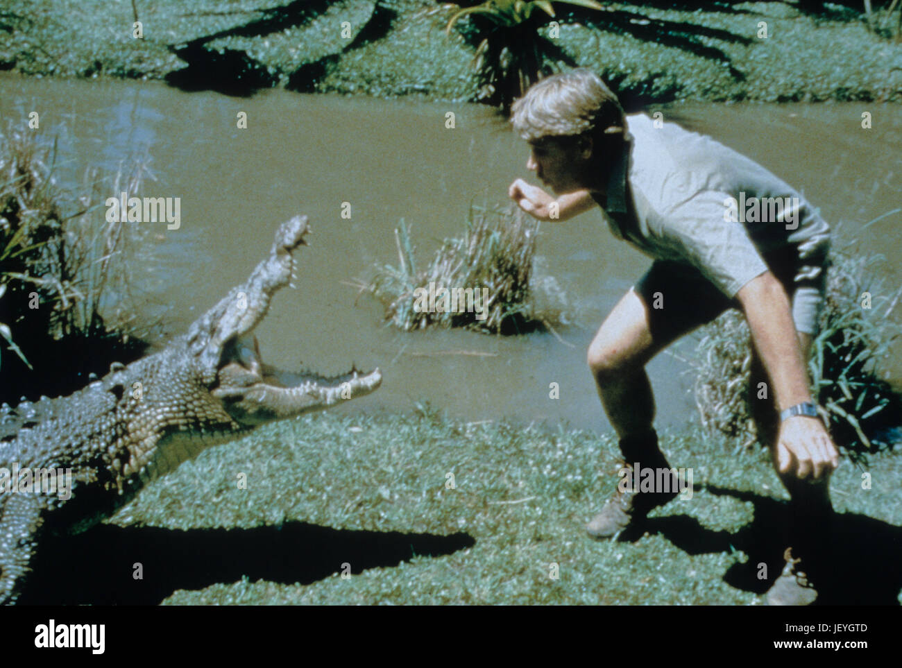 Steve irwin hi-res stock photography and images - Alamy
