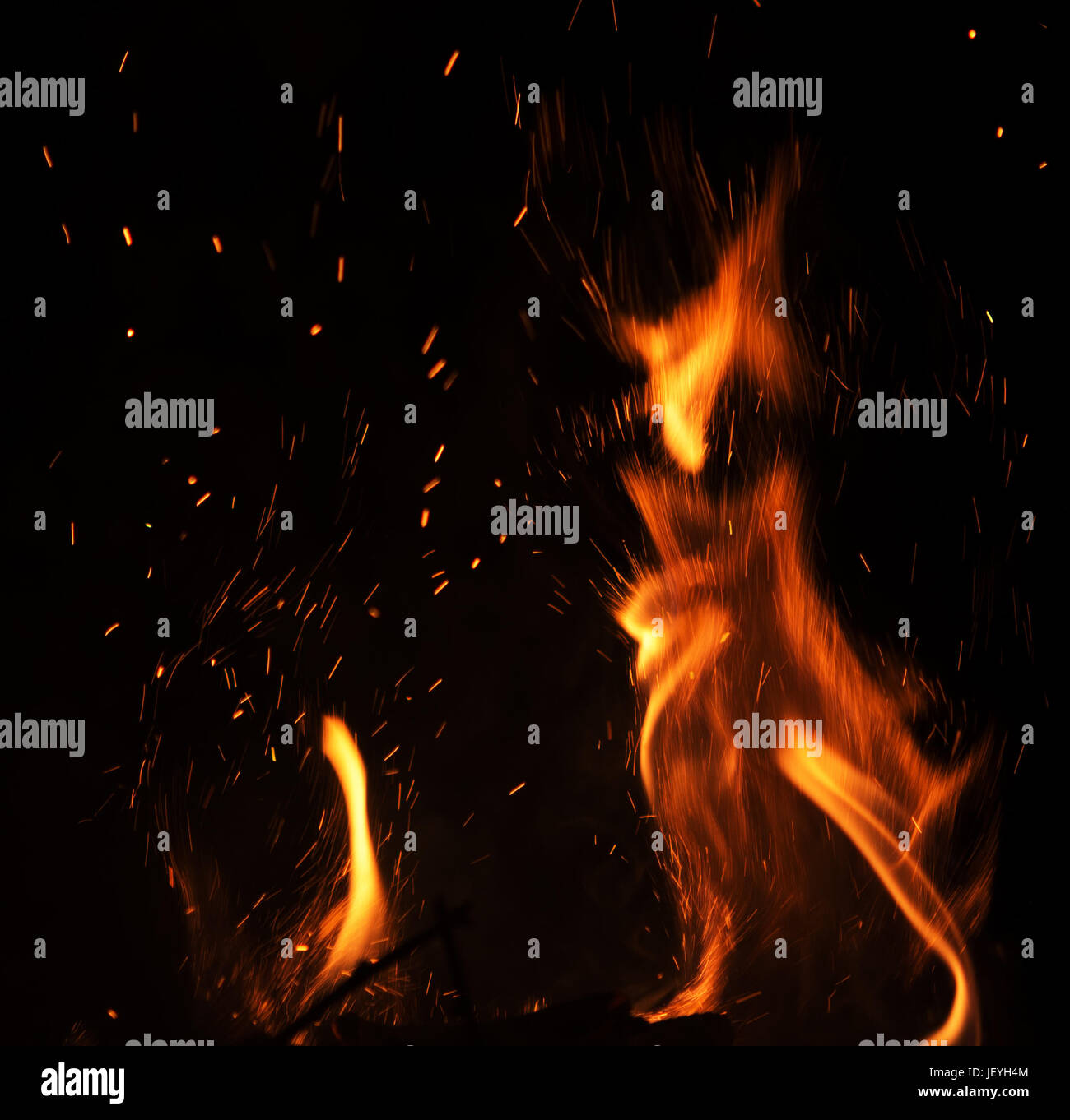 fire cat on a black background Stock Photo - Alamy