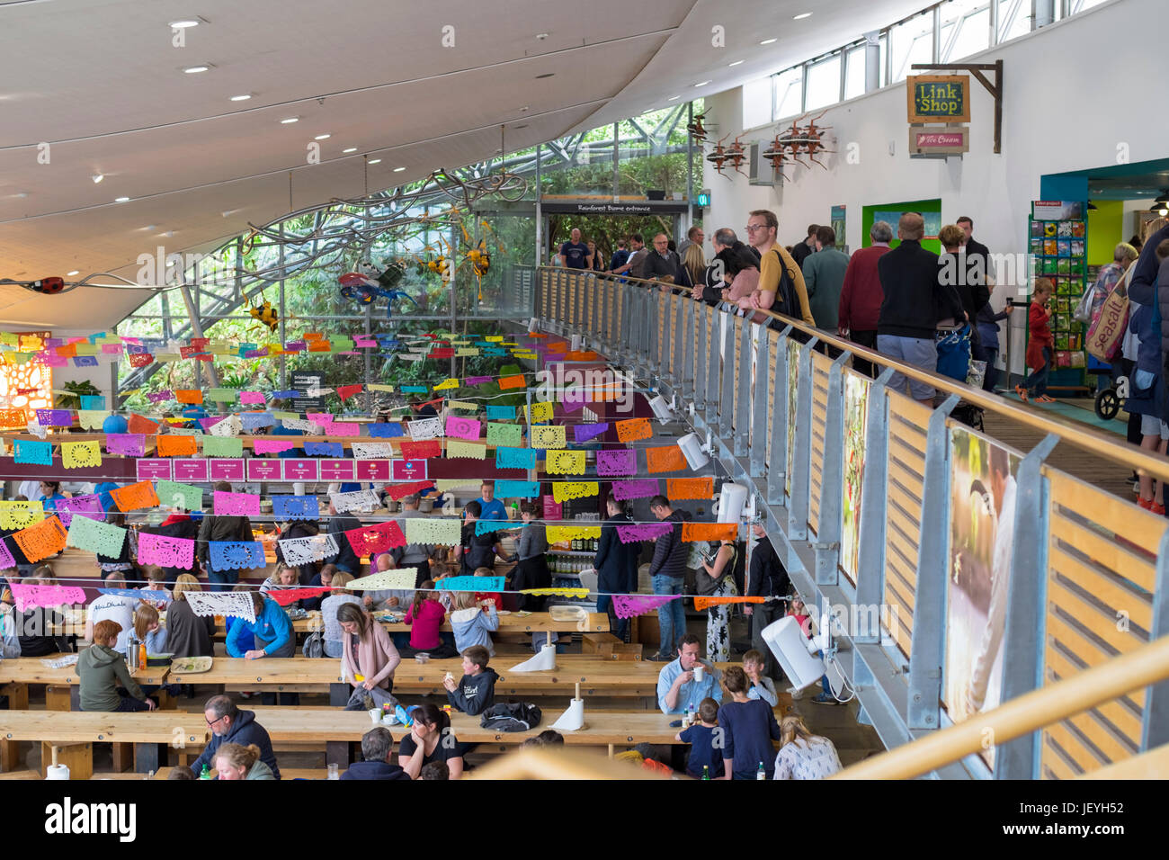 food hall at the eden project, cornwall, uk Stock Photo - Alamy