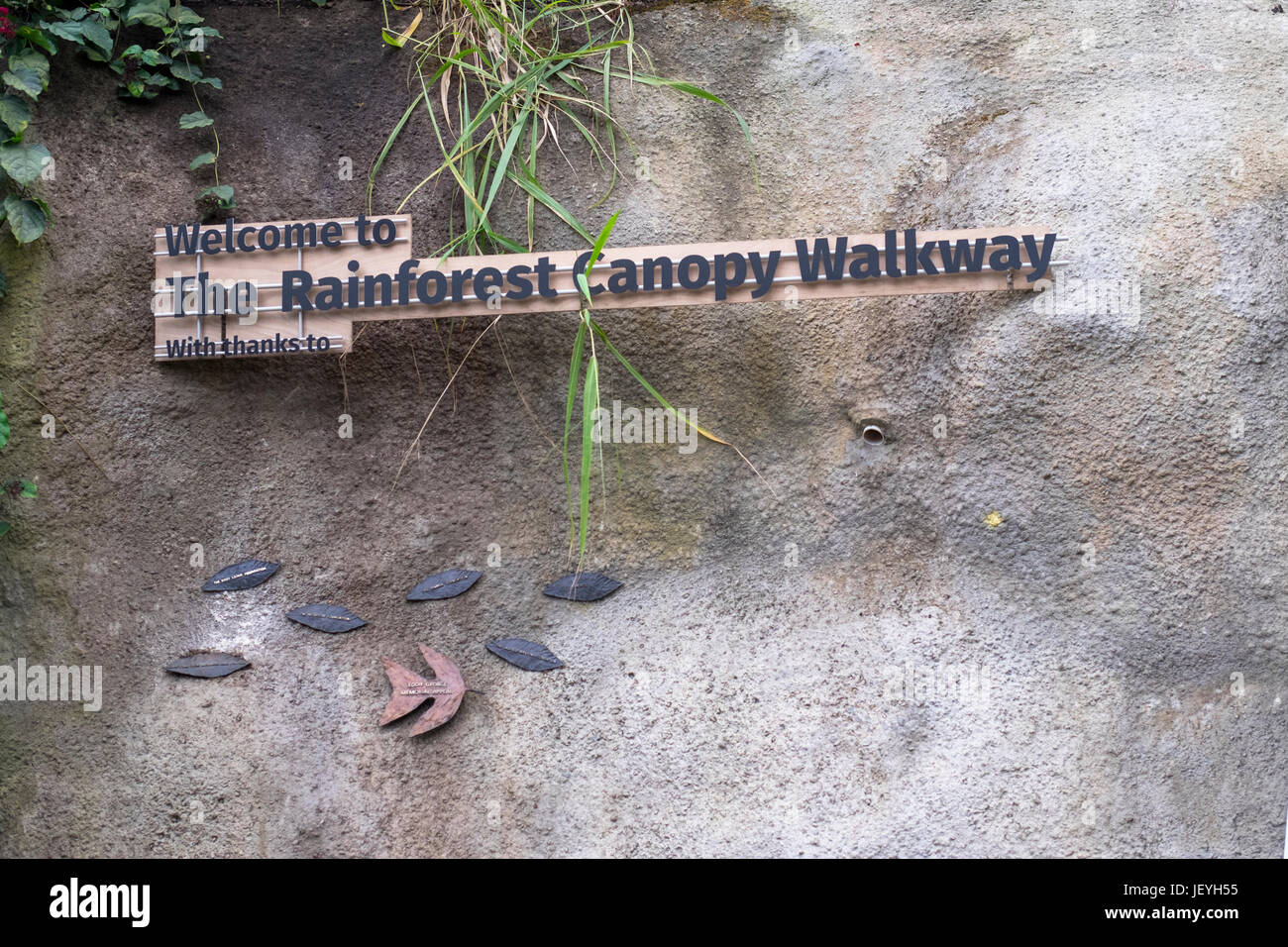 Welcome to the rainforest canopy walkway sign Stock Photo - Alamy