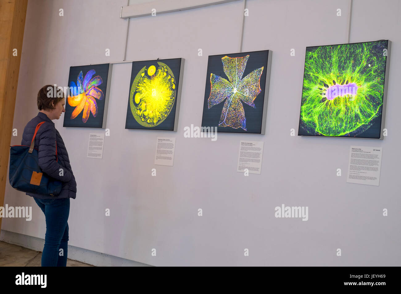 Wellcome hi-res stock photography and images - Alamy