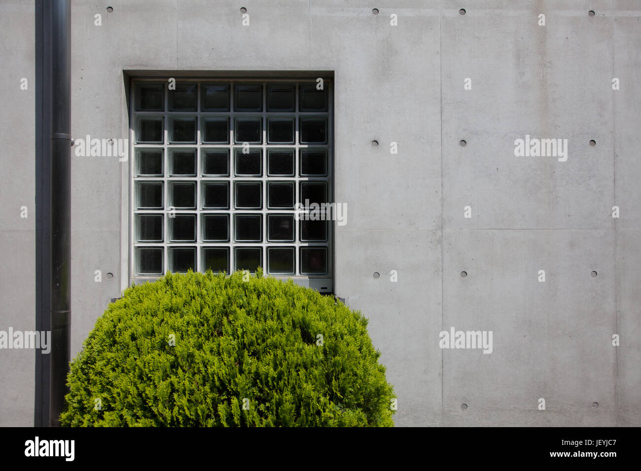 A window in a concrete building a bush below it. Ebisu, Tokyo, Japan ...